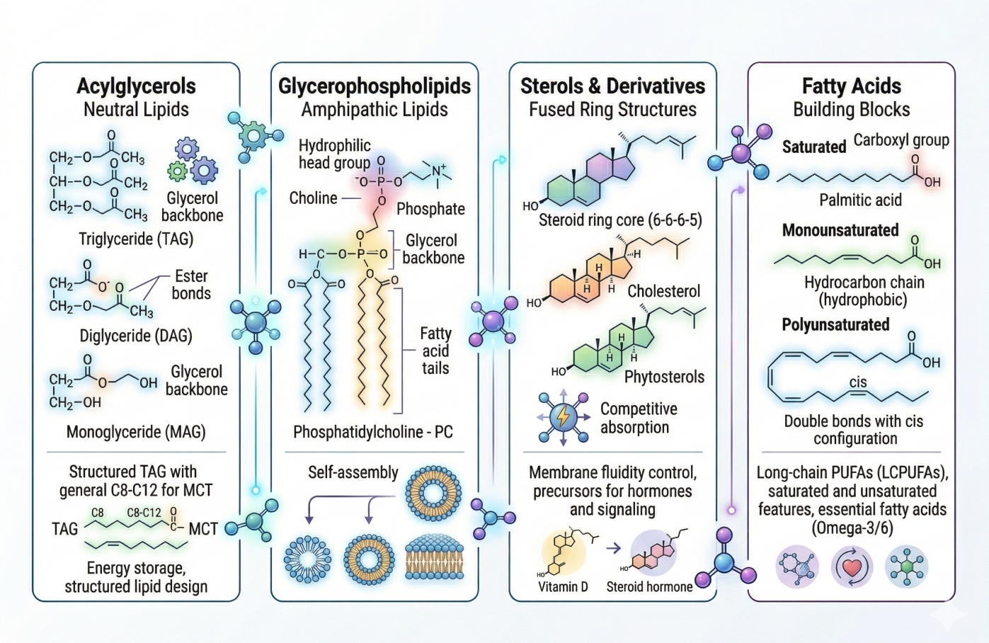 Lipid Chemistry and Classification Guide - BOC Sciences