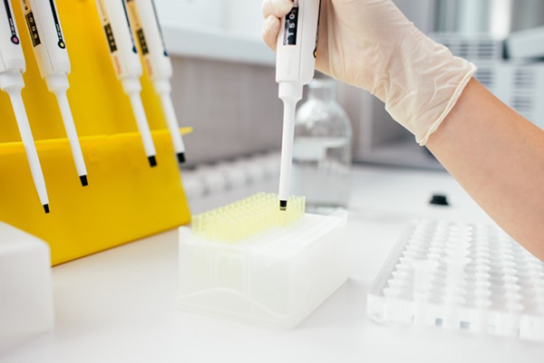 Custom Lipid Synthesis Services - BOC Sciences